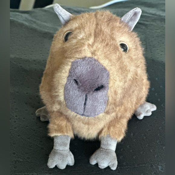 Jellycat | Toys | Rare Authentic Nwt Clyde Capybara Jellycat | Poshmark